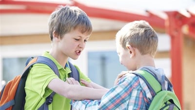 Youth Violence: Preventative Strategies against Extreme Behaviours ...