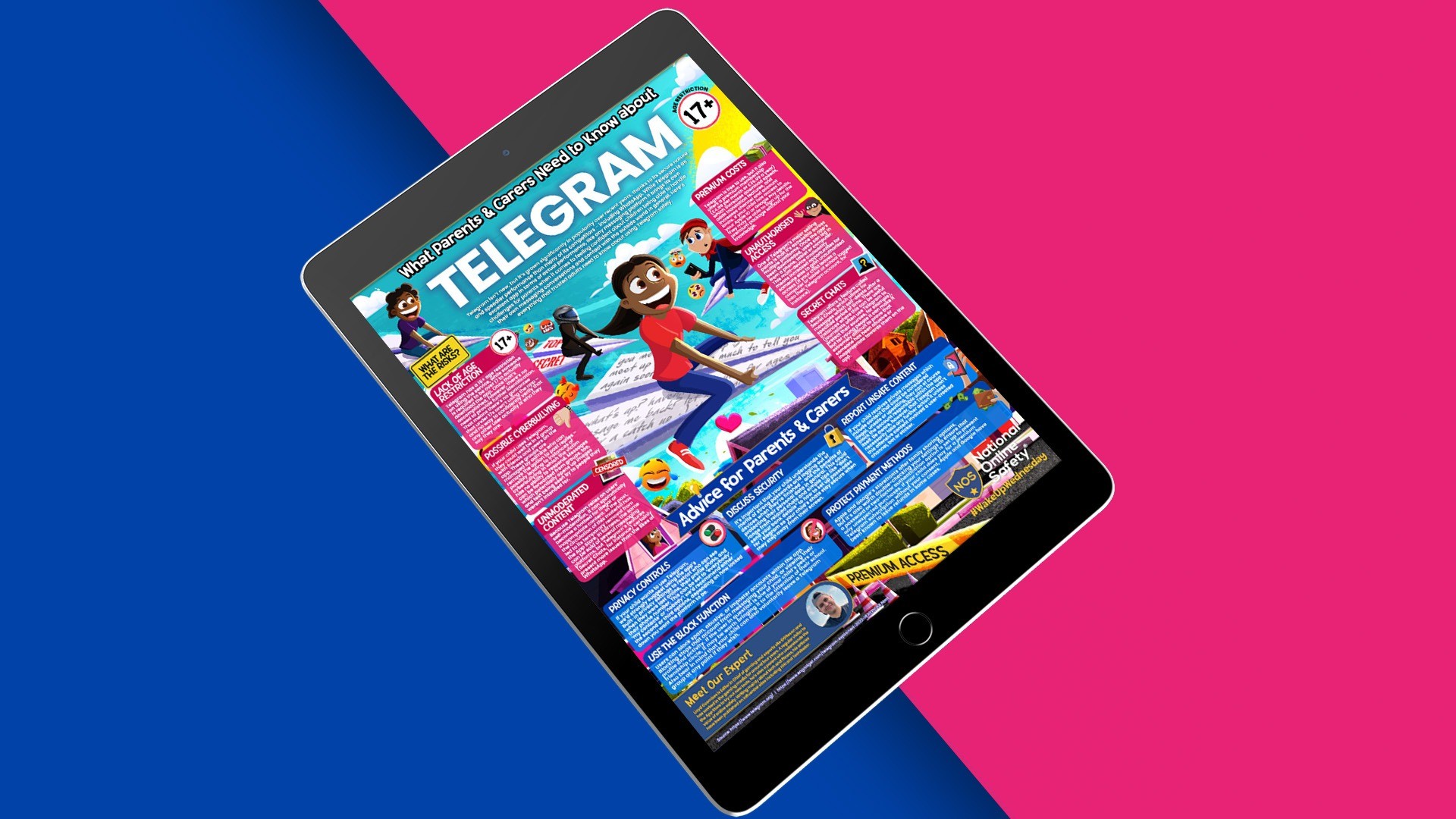 Free E-Safety Guide | Telegram