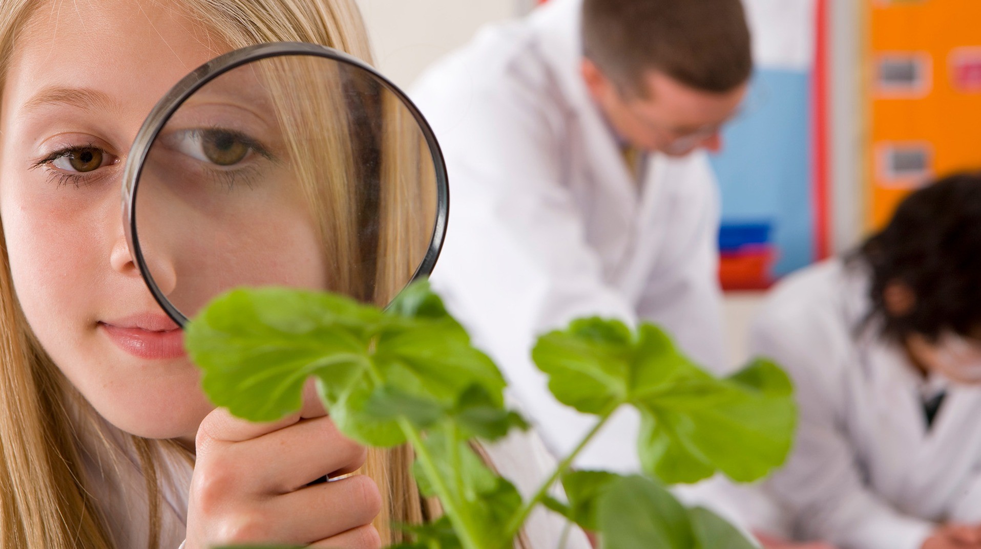 Real-World Curriculum: Plants and Climate Change (Secondary)