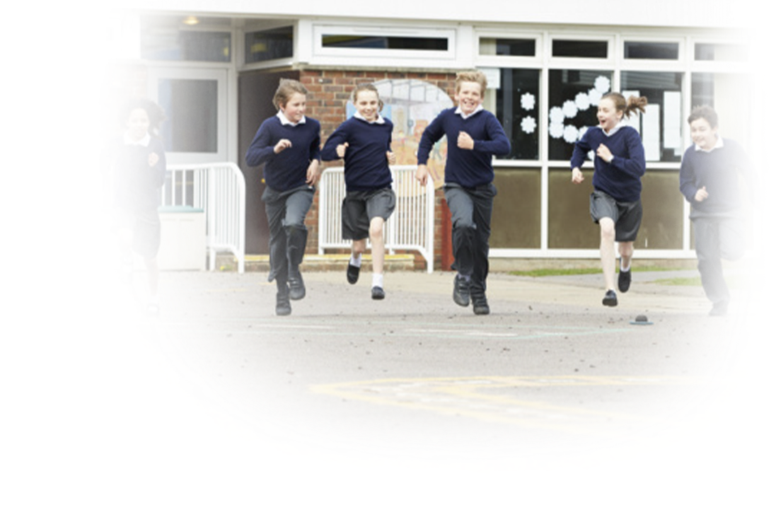 An Expert Review of the Healthy Schools Rating Scheme