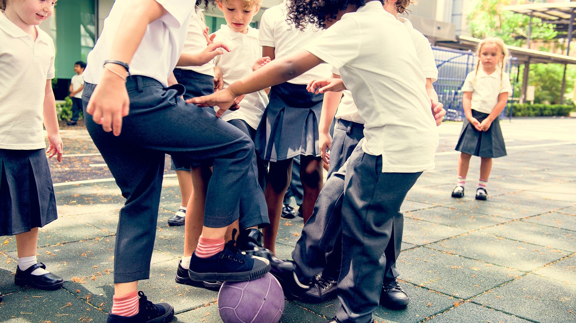 Boost Social and Emotional Learning (Primary)