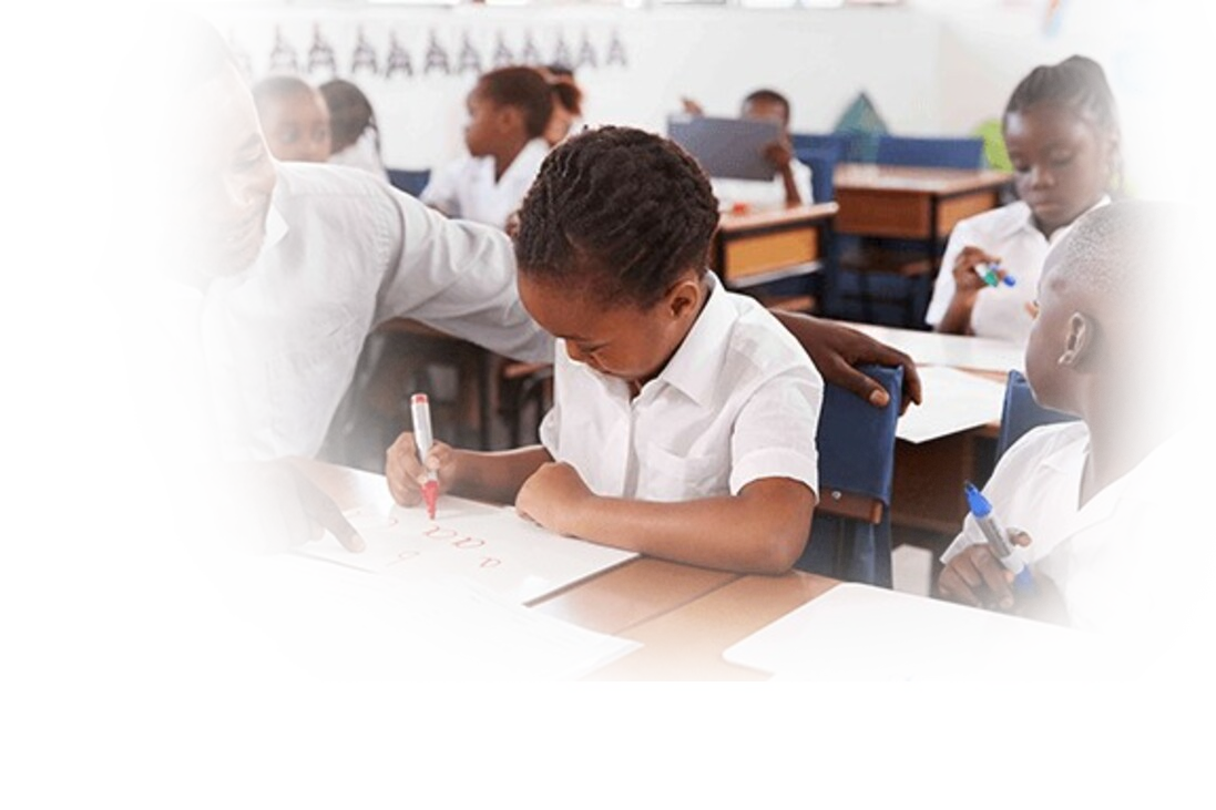A Webinar for TA’s: Enhance Adaptive Teaching (Primary)