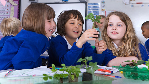 How to Engage Your Community to Support School Environmental Projects