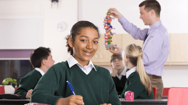 Adaptive Teaching: Stretch & Challenge (Primary)